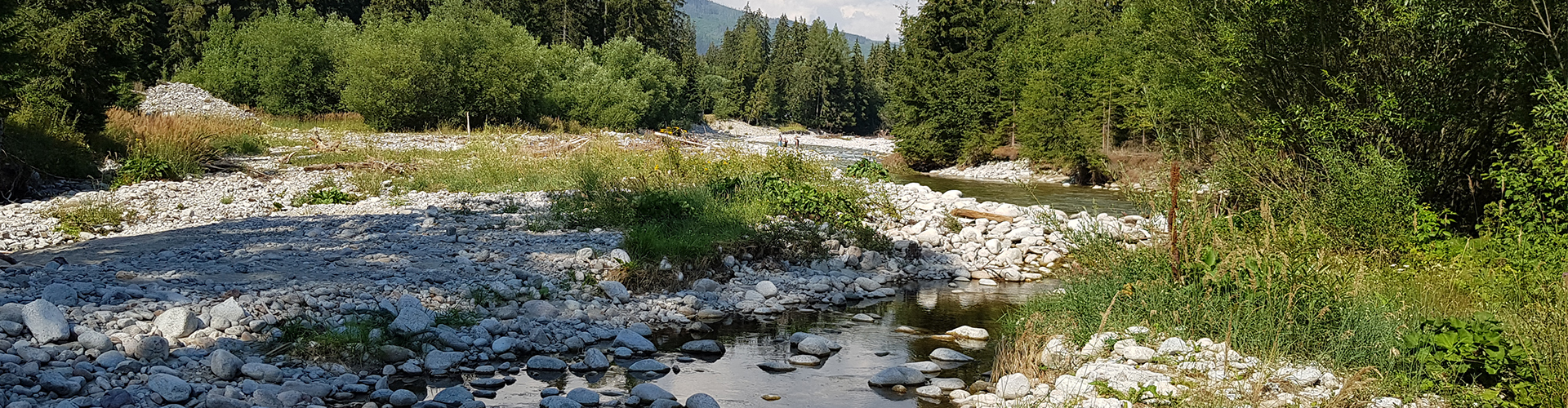 River basin hydrology, extreme events and climate change - VUVH