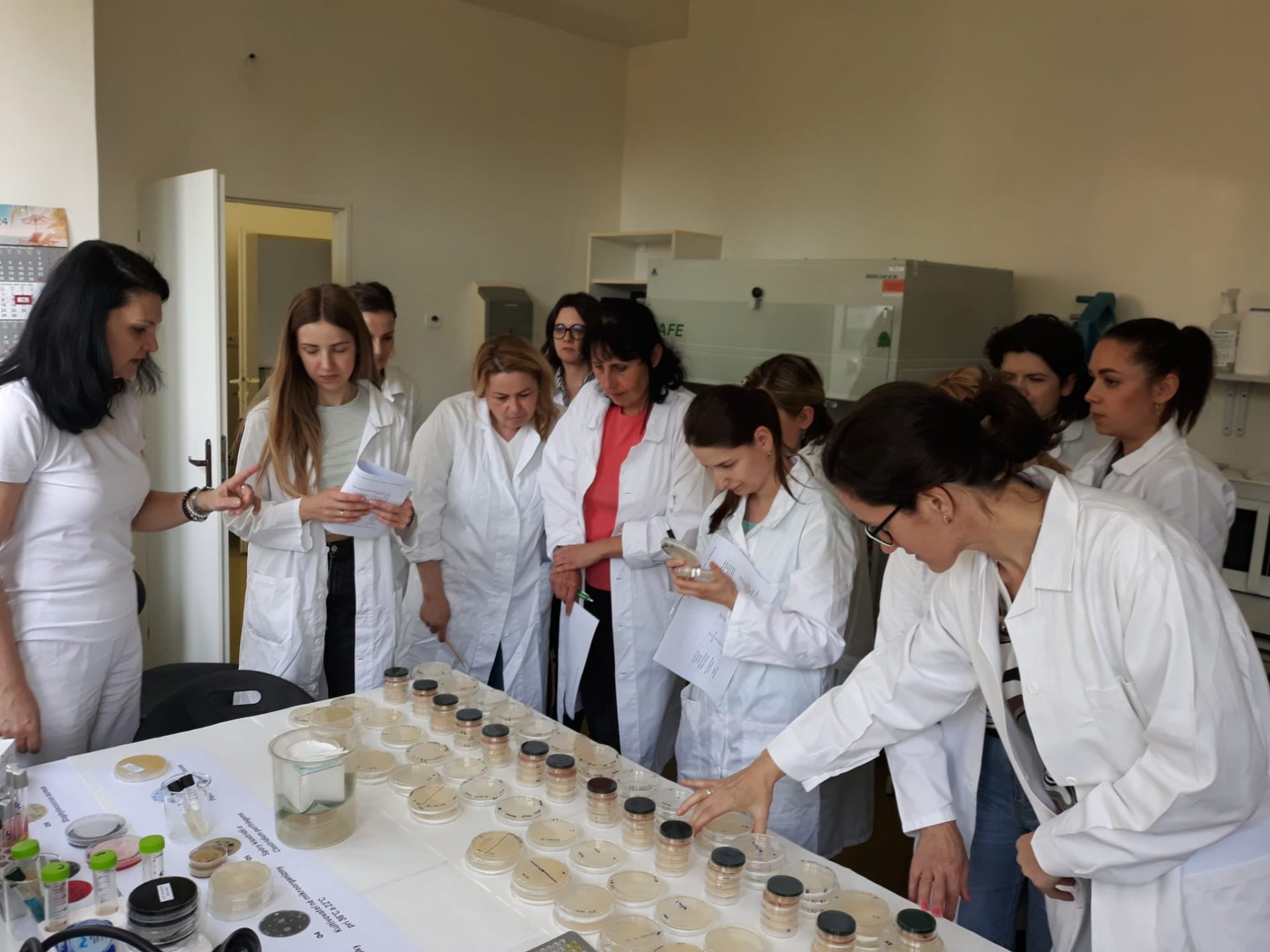 Odborné kurzy - VUVH